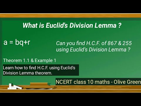 Theorem 1.1 | Euclid's Division Lemma | Example 1| NCERT Class 10 ...