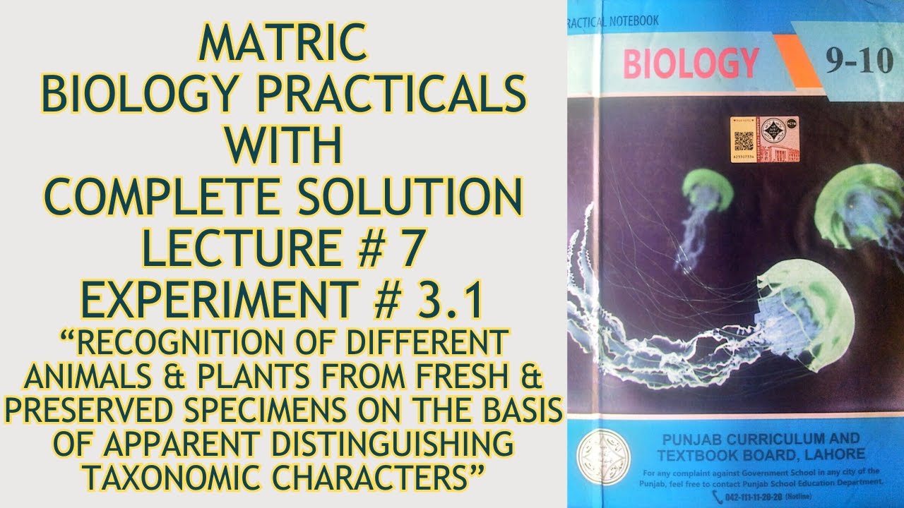 biology practicals matric//experiment 3.1//recognition of different ...