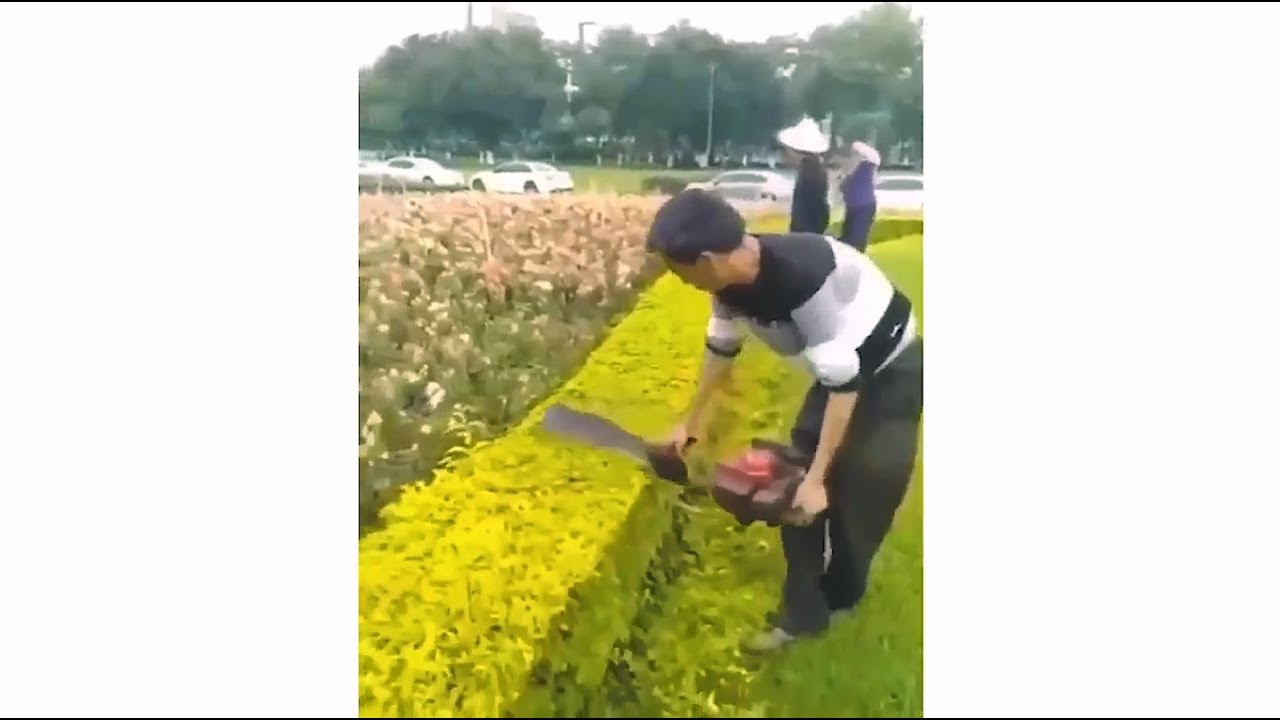 Amazing Fast Workers Compilation #1 - YouTube