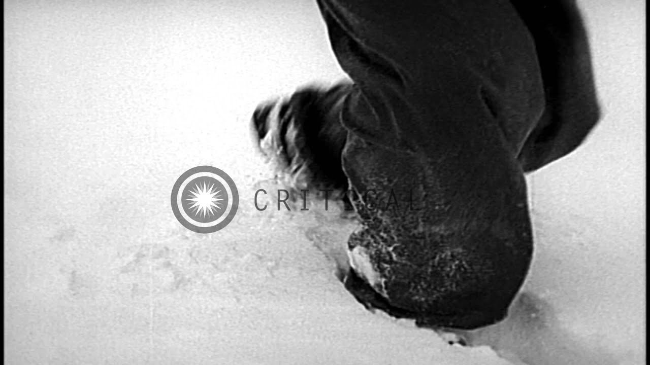 Men draw a sled and trudge through snow in Antarctica. HD Stock Footage ...