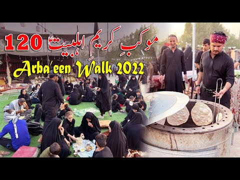 🔴Live - Good Morning Najaf To Karbala - Arbaeen Walk - Safar E Ishq - Arbaeen Pilgrimage