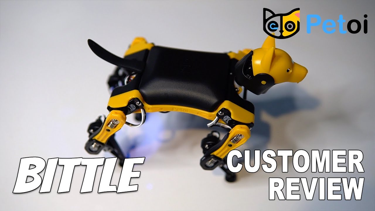 Bittle By Petoi The Robotic Dog Customer Unboxing / Review - YouTube