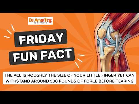 Your ACL Is the Size of Your Little Finger — But Can Handle 500lbs! | Friday Fun Fact 🦵