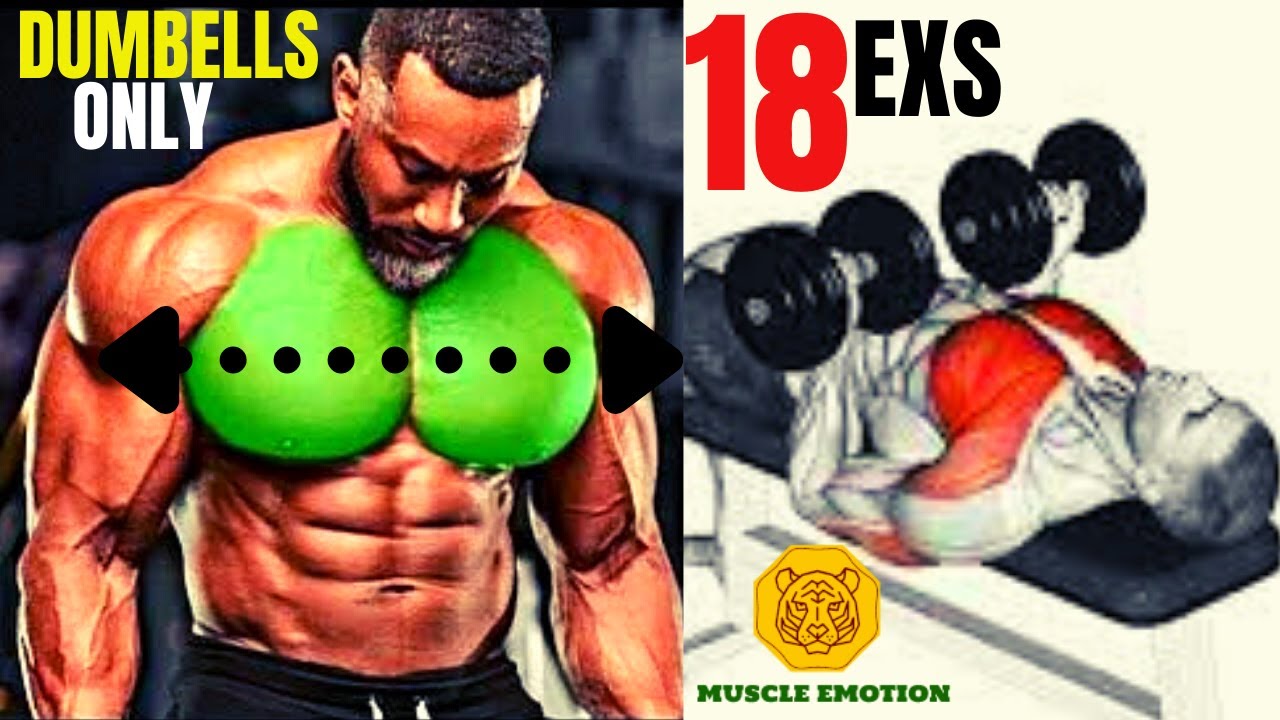 18 BEST CHEST EXERCISES WITH DUMBELLS / MUSCULATION PECS AVEC HALTERES ...