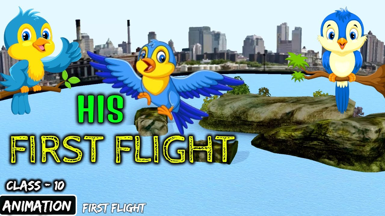 His First Flight Class 10 | Two Stories About Flying | First Flight ...