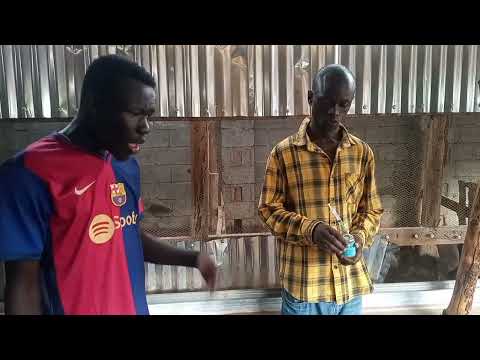 "How To Deworm Your Pigs - Essential Guide for Healthy Livestock ...