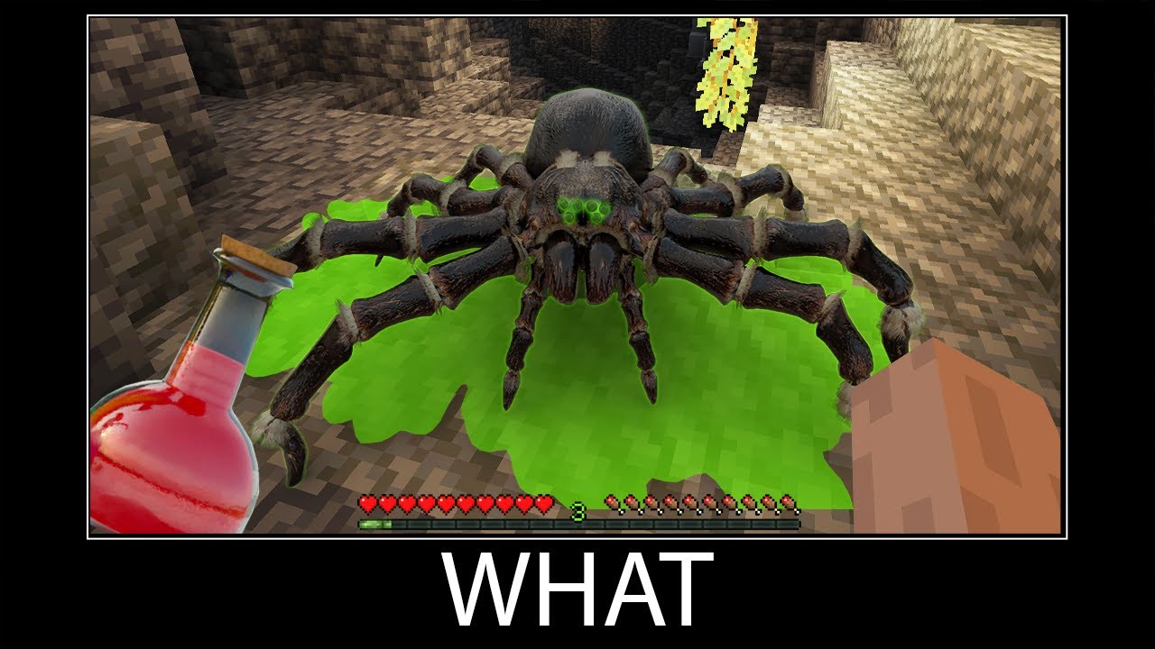 Minecraft Spider Meme First Look At A Spider In The Live Action