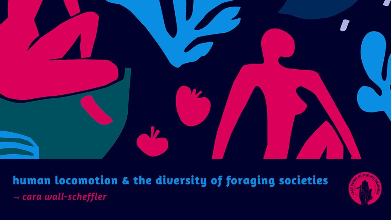 Cara Wall-Scheffler: Human Locomotion & The Diversity Of Foraging ...