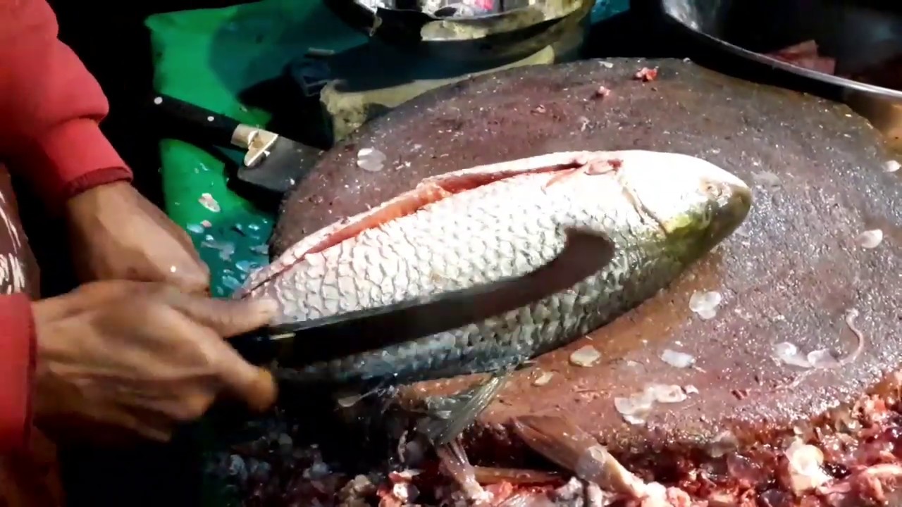Live fish cutting for fry - YouTube