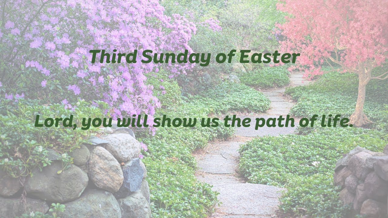 Sunday in the Third Week of Easter - YouTube