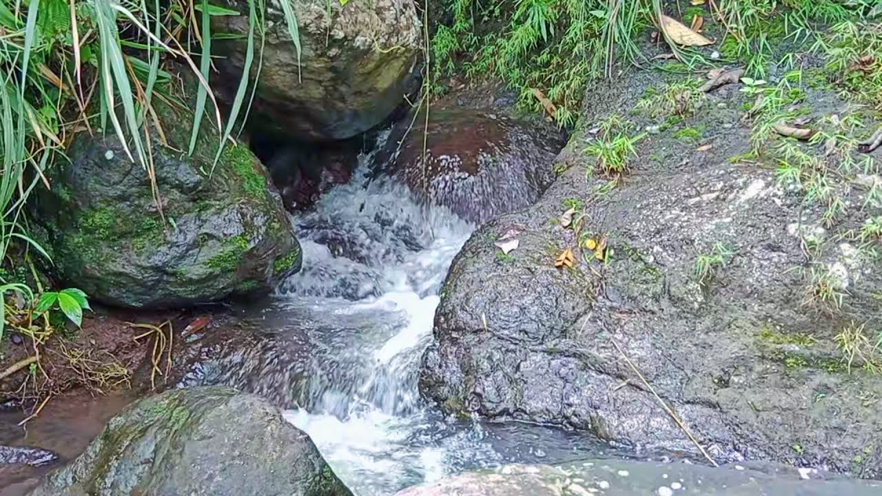 Stream Sounds for Restful Sleep ( Relaxation, Meditation, ASMR ) - YouTube