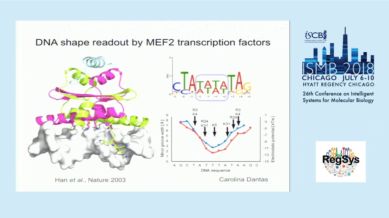 Keynote: A tale of DNA shape analysis: a user manual and next steps ...
