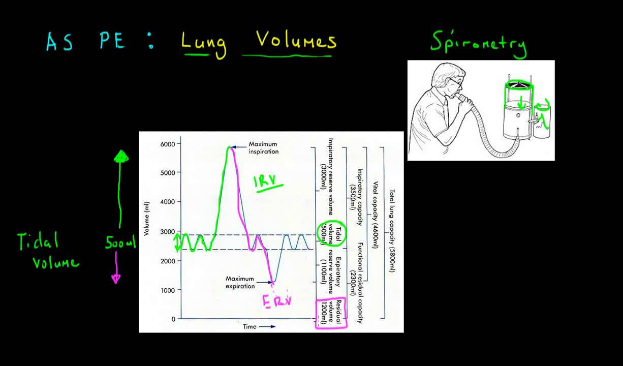 AS PE Lung Volumes - YouTube