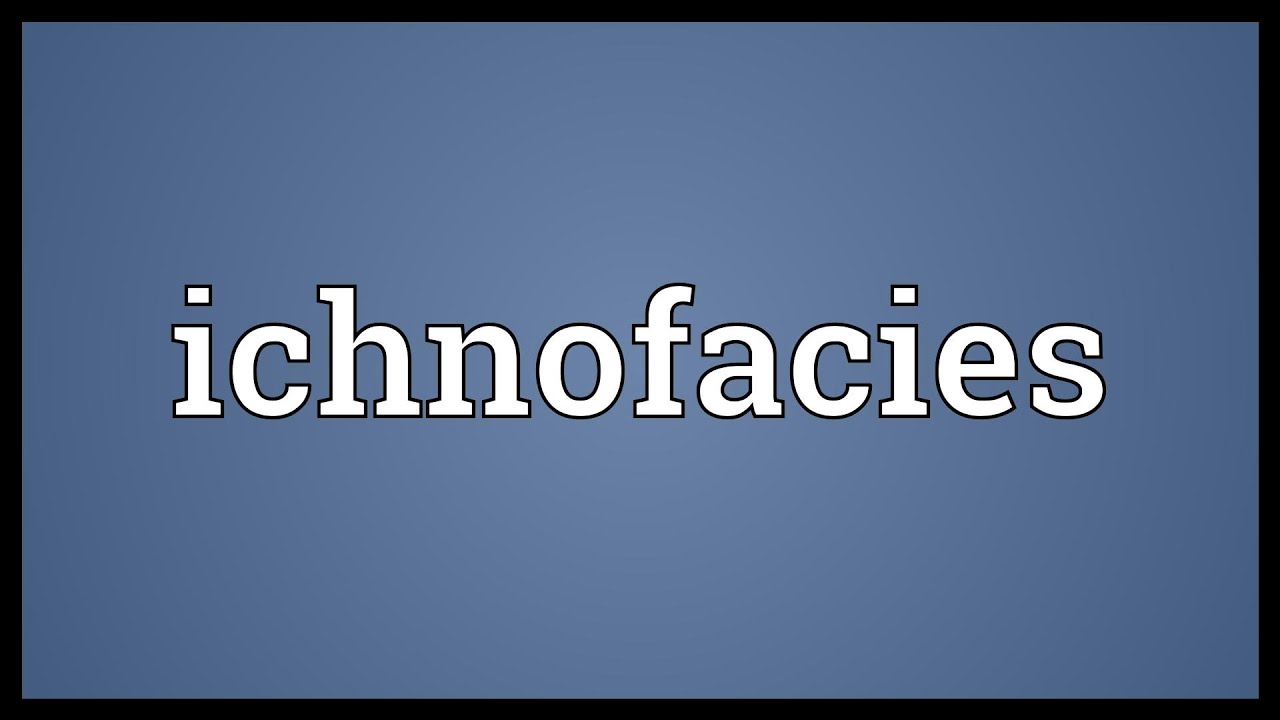 Ichnofacies Meaning - YouTube