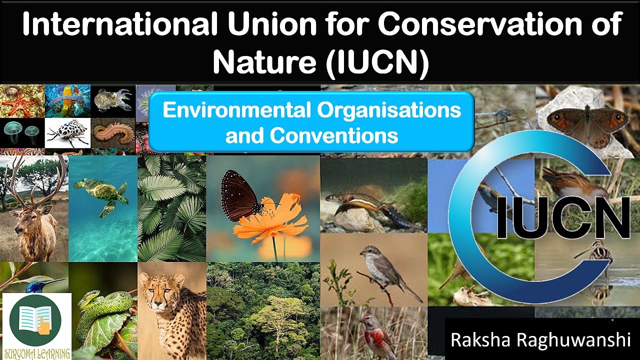What is IUCN? | Environmental Organizations & Conventions | Static ...