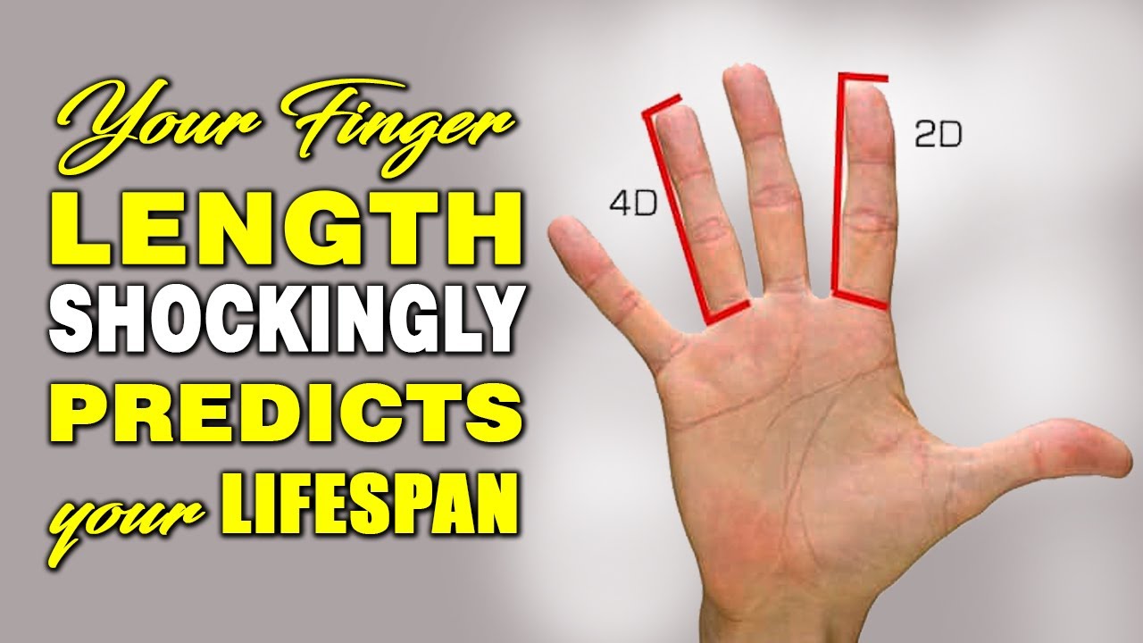 What Finger Length Can Reveal About Lifespan? - YouTube