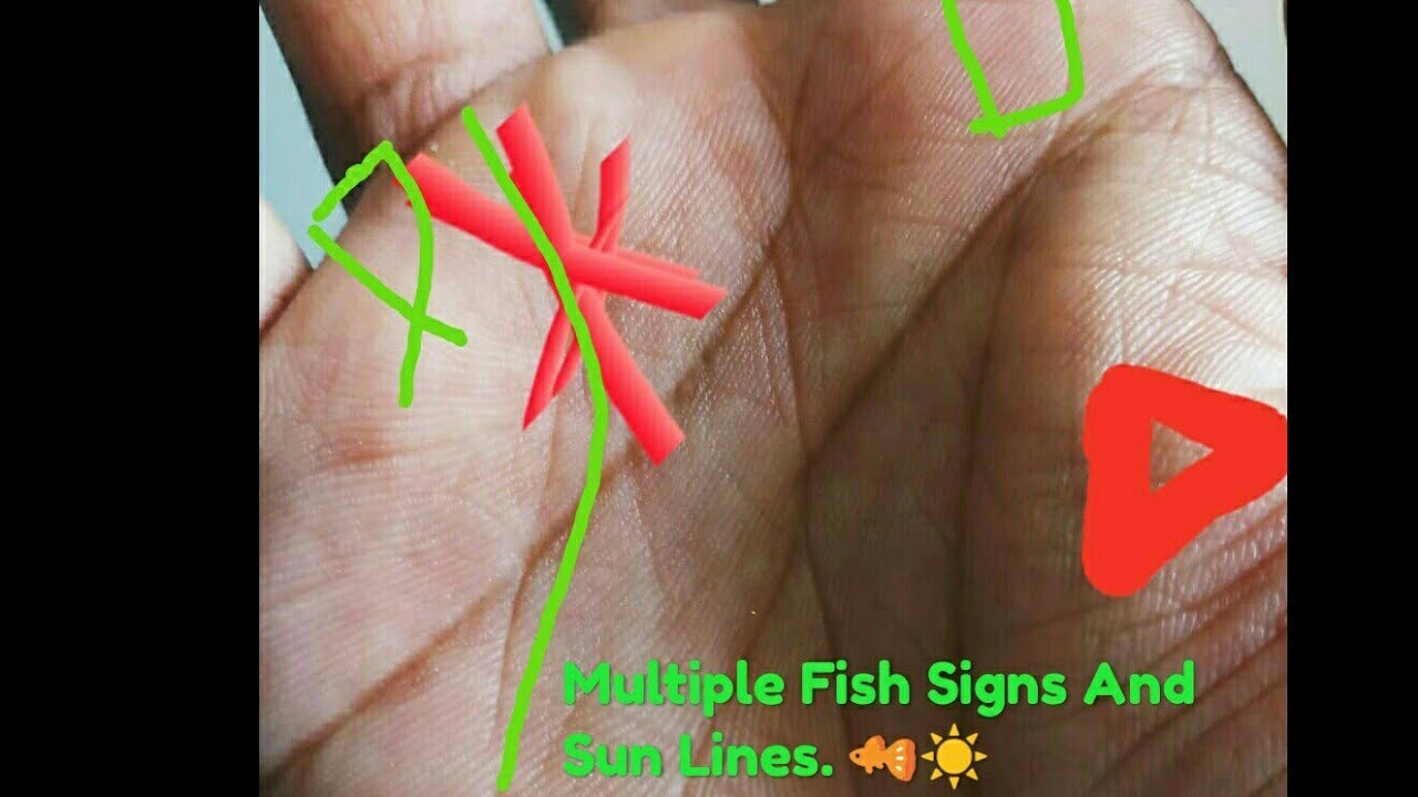 Multiple Fish Signs And Sun Lines 🐠☀️💯 - YouTube