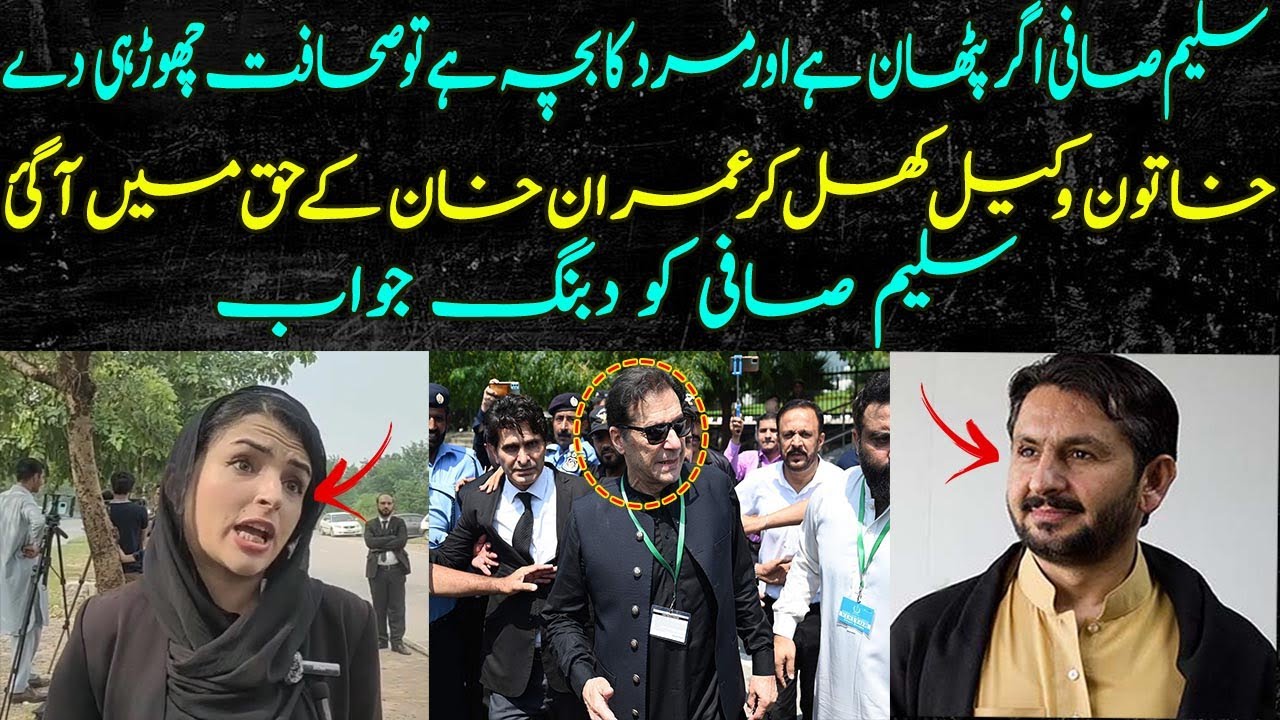 Mishal Khan roast Saleem Safi || Imran khan PTI || || Supreme court ...