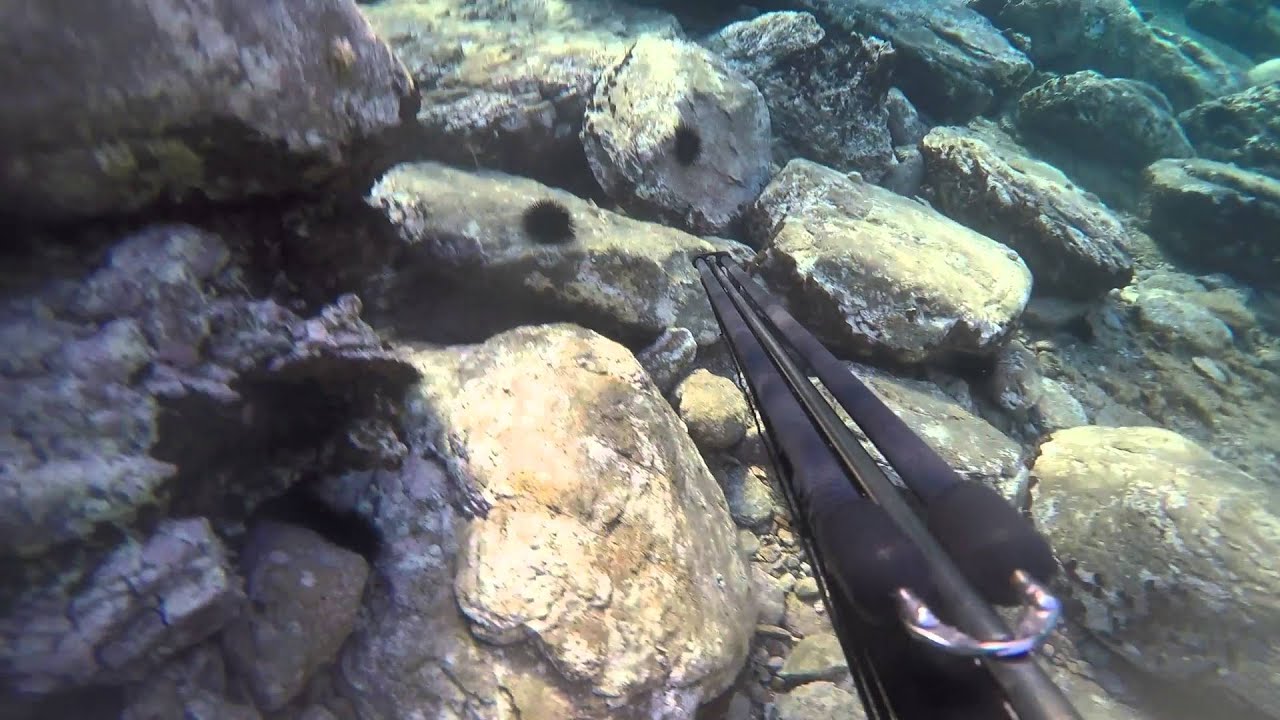 Ψαροτουφεκο Μυτιληνη Δεκεβριος - YouTube