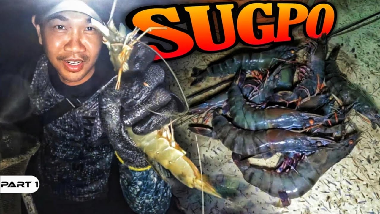 P1 - Nanigpaw at Namana ng Sugpo at Alimango - EP1579 - YouTube
