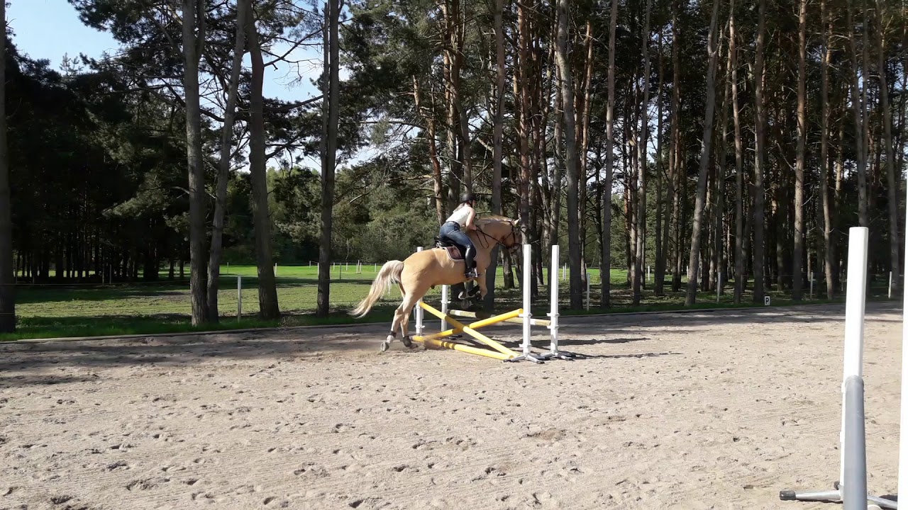 Tilda 10/5 - YouTube