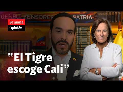 “El Tigre escoge CALI”: opinión de Salud Hernández-Mora.