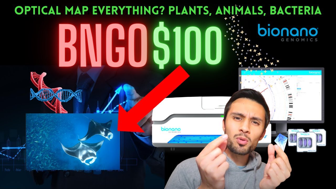 HUGE BNGO News - MANTA RAYS? BNGO Optical Map EVERY Living Organism ...
