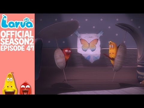 [Official] Cocoon - Larva Season 2 Episode 47