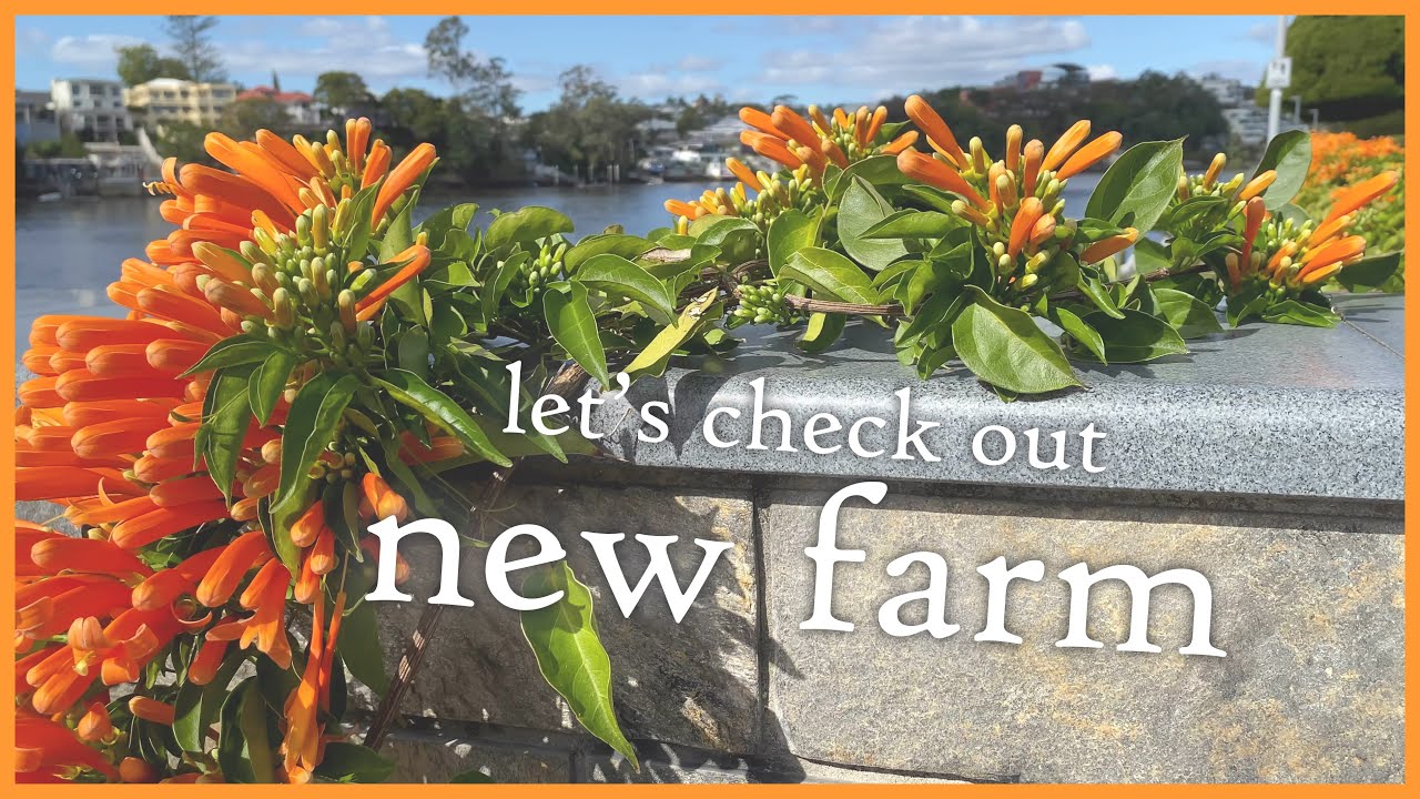 Beautiful NEW FARM and TENERIFFE - river walk in BRISBANE, Australia 😎🛥 ...