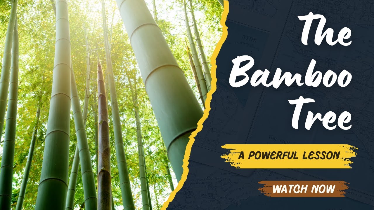 The Bamboo Tree Story: A Powerful Motivation for Patience and Success ...