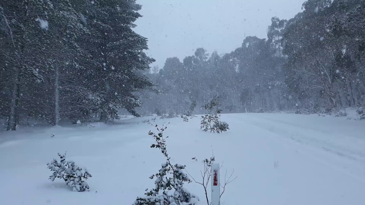 Heavy snow at Gurnang (NSW CT's)- 11th August 2019 - YouTube