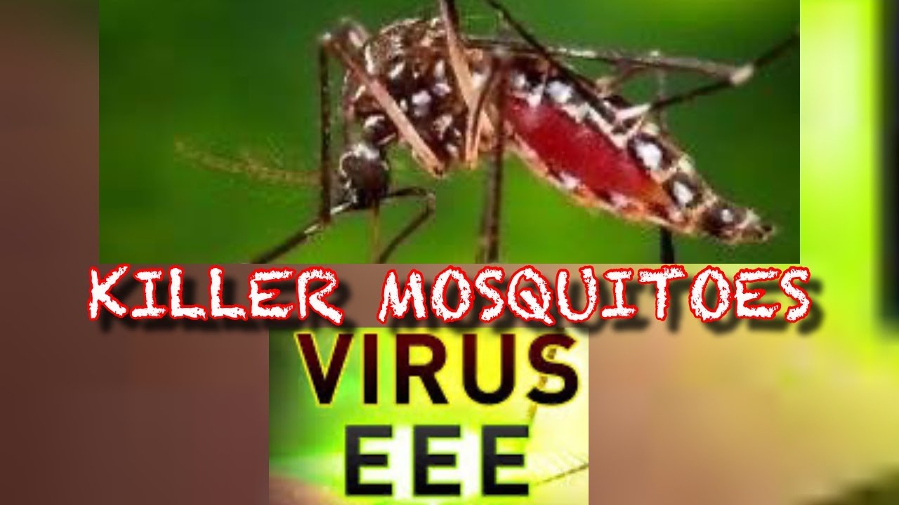 America's Civil War. Arresting Christians. EEE Virus Lockdowns! David ...