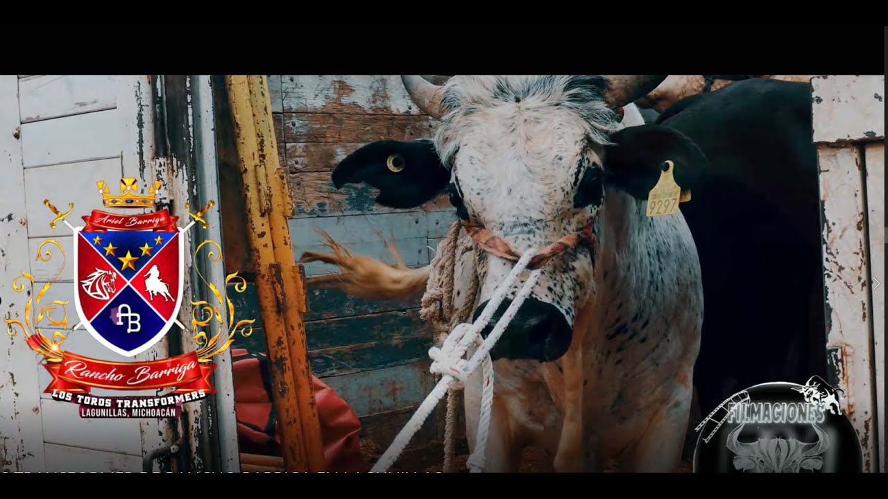 RANCHO BARRIGA DE ARIEL BARRIGA! DESDE SUS TIERRAS EN LAGUNILLAS ...