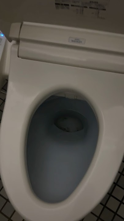 【爆音洗い落とし】TOTO C14 - YouTube