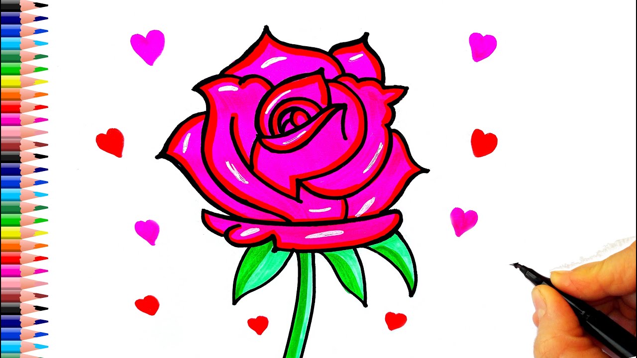 Gül Çizimi 🌹 Gül Nasıl Çizilir? - How To Draw a Rose Easy - Kolay Gül ...