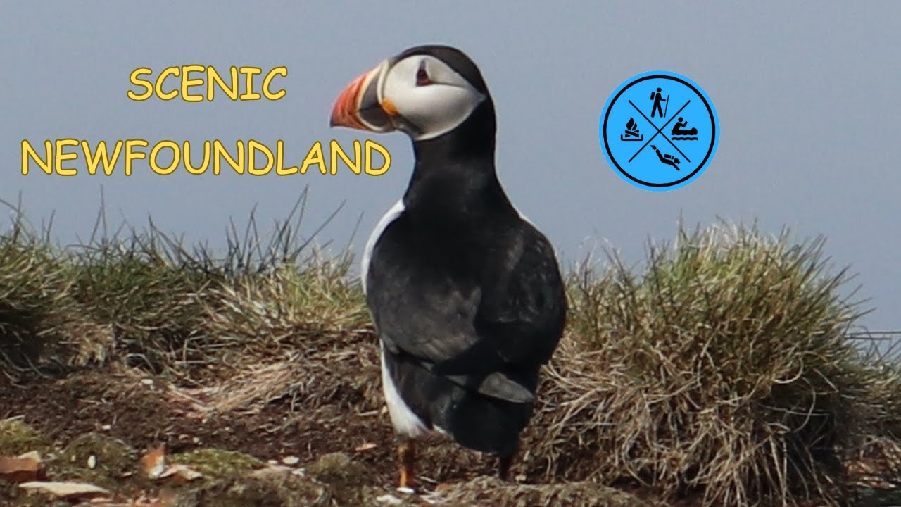 Newfoundland: A Land Of Majestic Scenery - YouTube