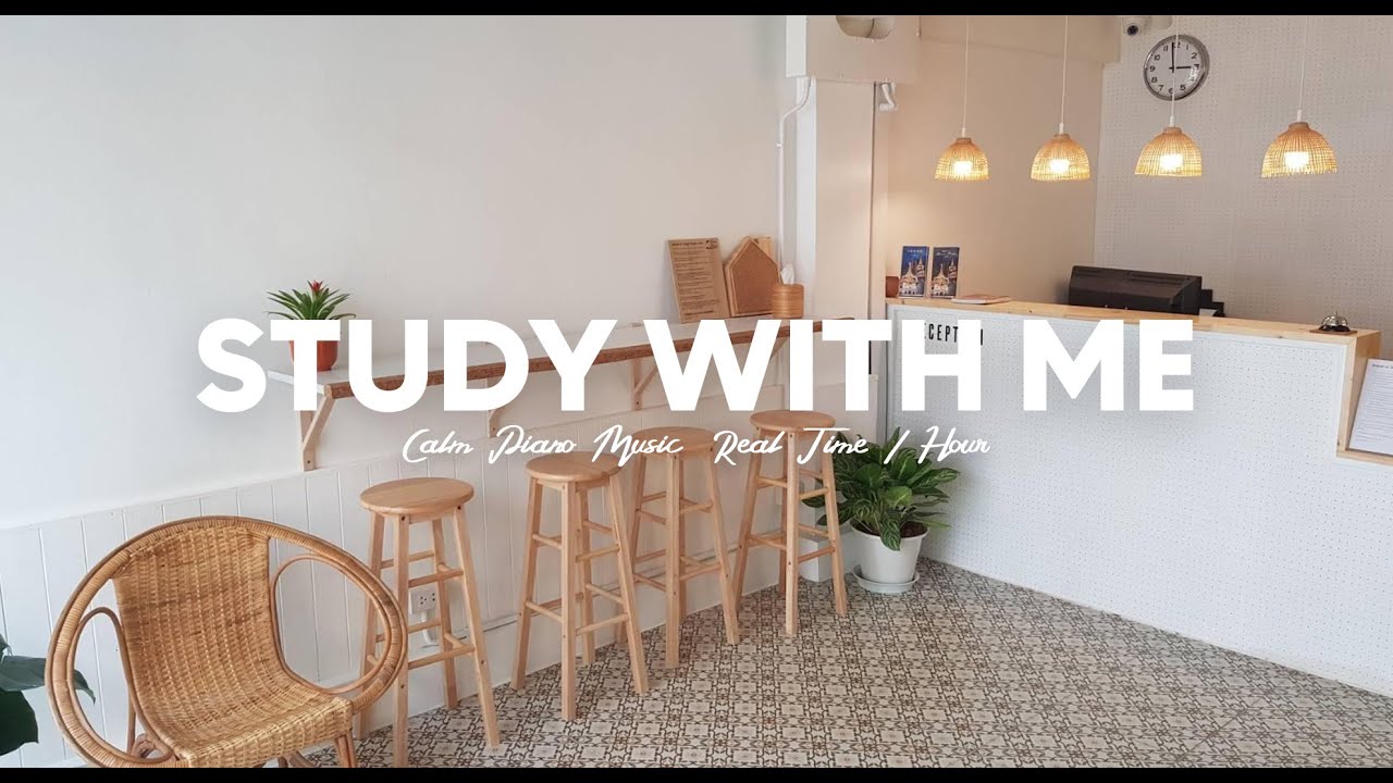 Study with Meow 🌿 1 HOUR STUDY I Let's grow our focus together - YouTube