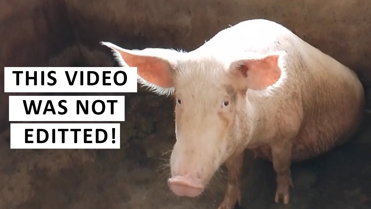 I Decided Not to Edit this Video - YouTube