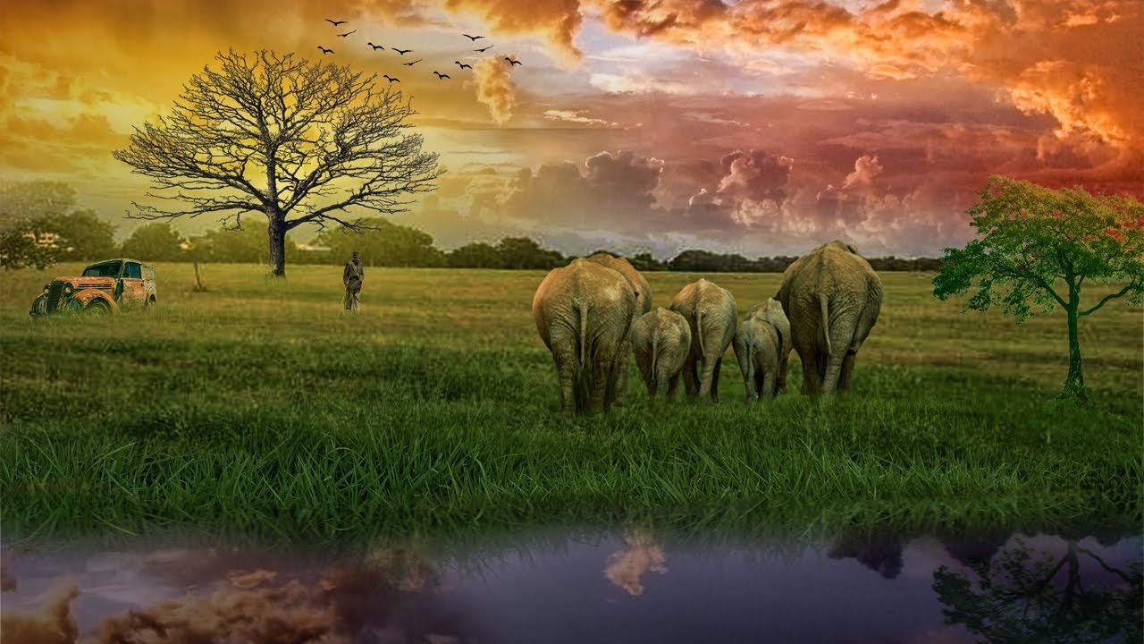Digital Photo Manipulation | Photoshop Tutorial - YouTube