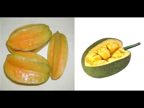 AQUI TENEMOS UNA FRUTA EXOTICA LLAMADA JACKA , AQUI SABRAN TODO SOBRE ...
