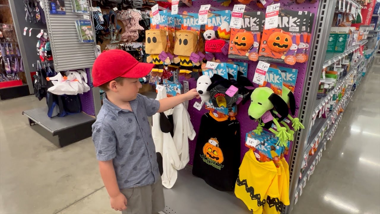 Petsmart Halloween Dog Costumes Peanuts Charlie Brown Snoopy + Fish ...