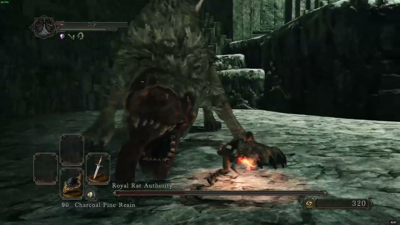 Royal Rat Authority - DS2 explorer classy run - YouTube