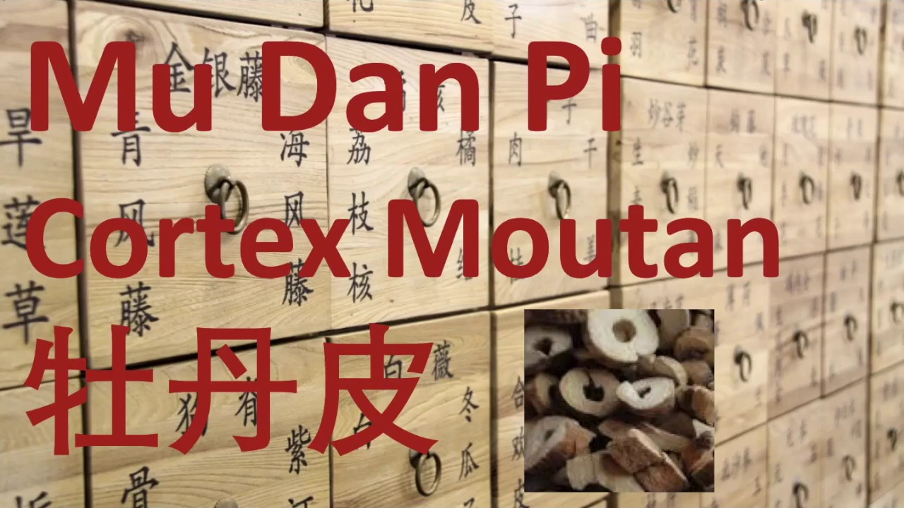120 Chinese Herbal Medicine, TCM, Herb - Mu Dan Pi (Cortex Moutan) 牡丹皮 ...