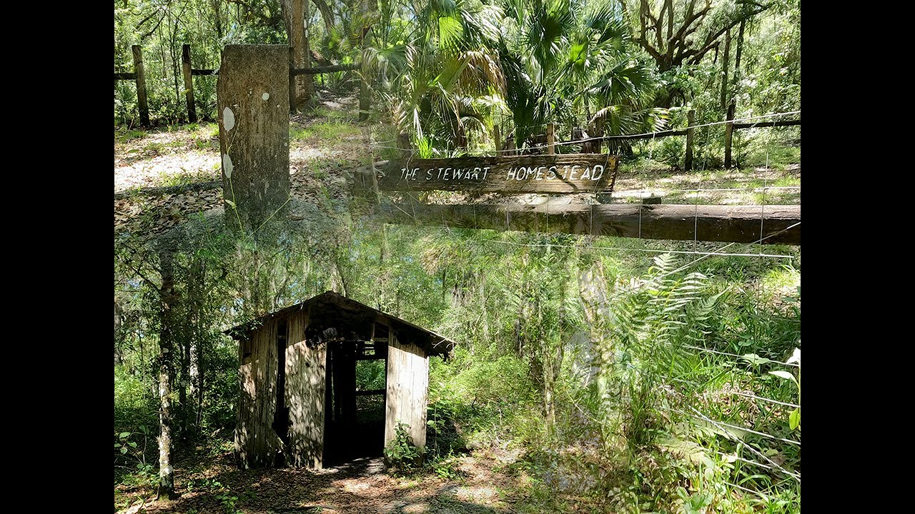 The Stewart Homestead and Cemetery in The Green Swamp Wilderness ...