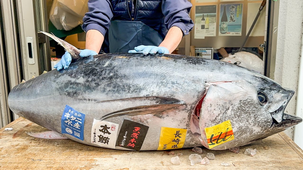 japanese food - TUNA CUTTING SHOW本マグロ解体 - YouTube