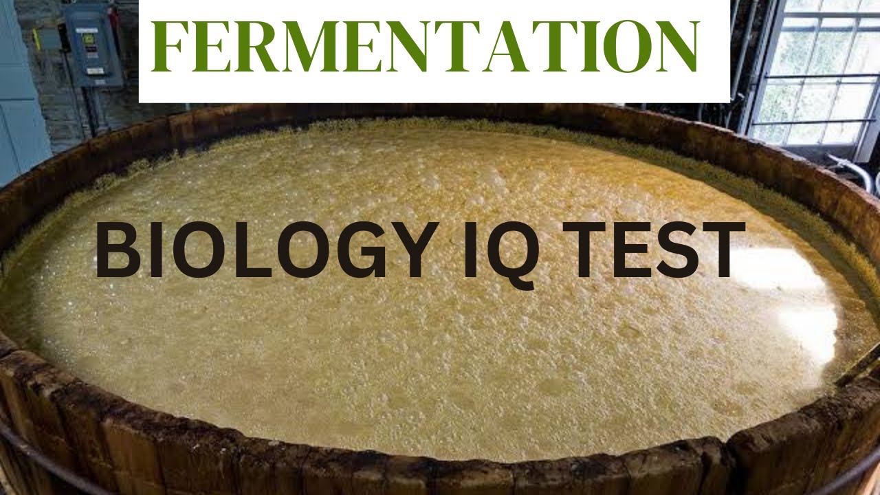 Biology Quiz | Top 20 Questions on Fermentation Process and Anaerobic Respiration. - YouTube