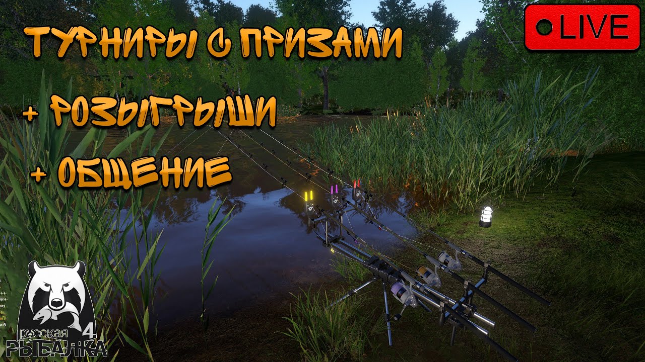 🔴ПРЯМОЙ ЭФИР В РР4/В ПОИСКАХ НОВЫЙ ТРОФЕЕВ 🎁 - YouTube