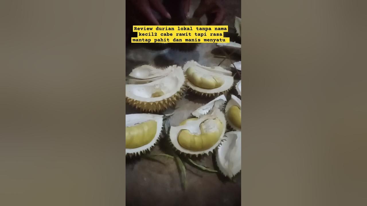 review durian lokal tanpa nama kecil2 cabe rawit tapi rasa mantap pahit dan manis menyatu #food ...