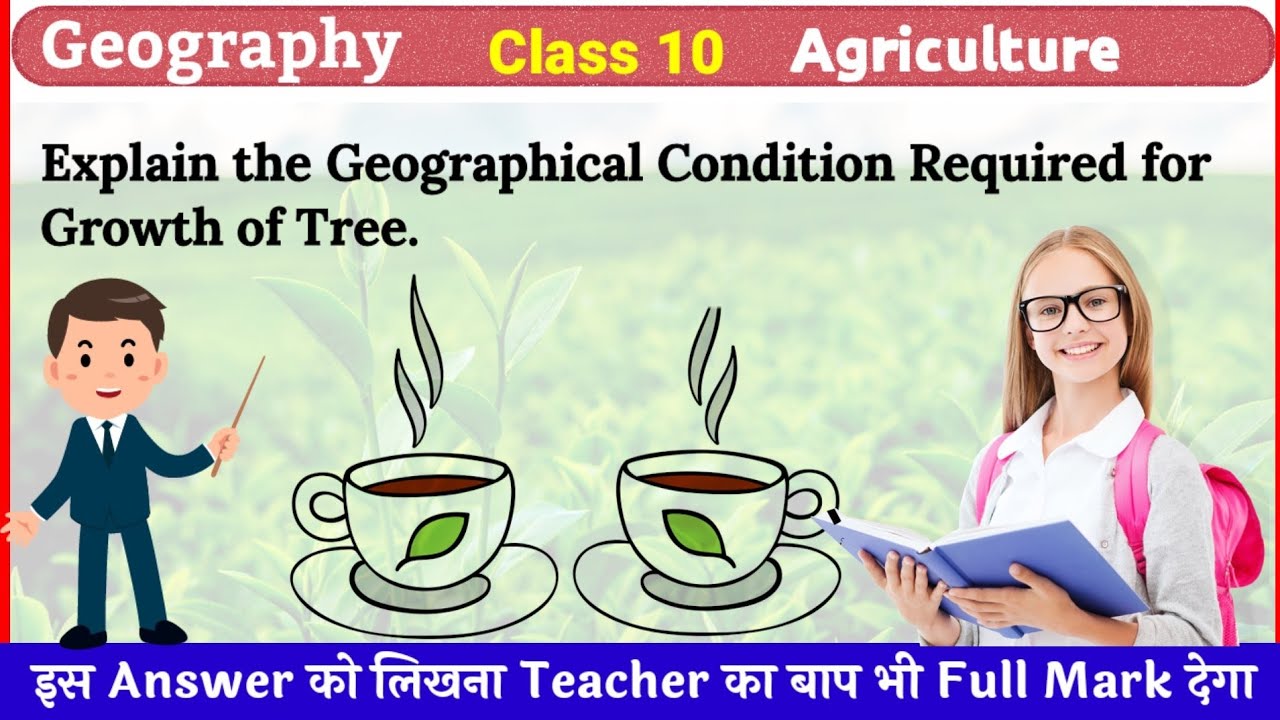 Geographical conditions required for growth of tea||Geography class 10 ...
