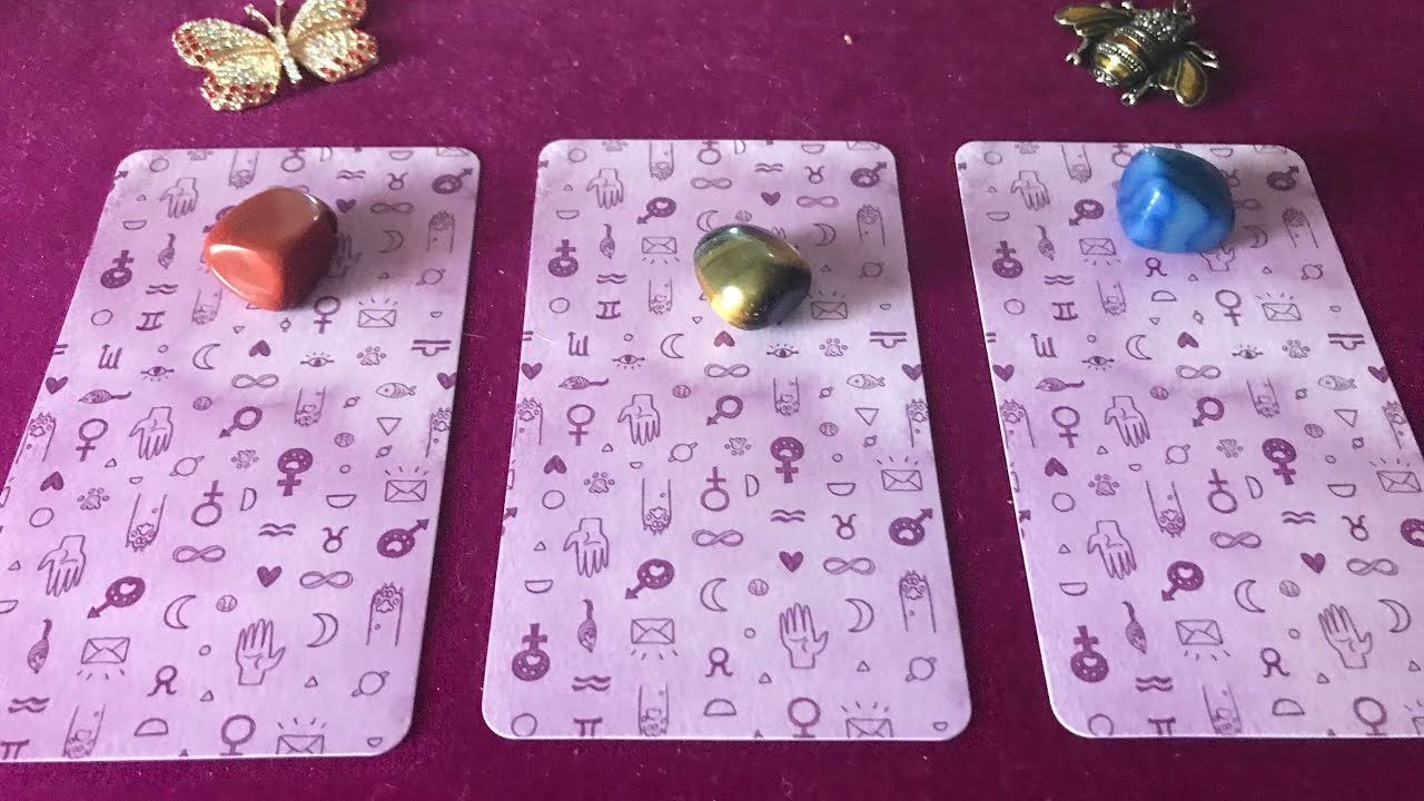 WHAT DOES YOUR PET WANT TO TELL YOU?🐱🐶 - YouTube